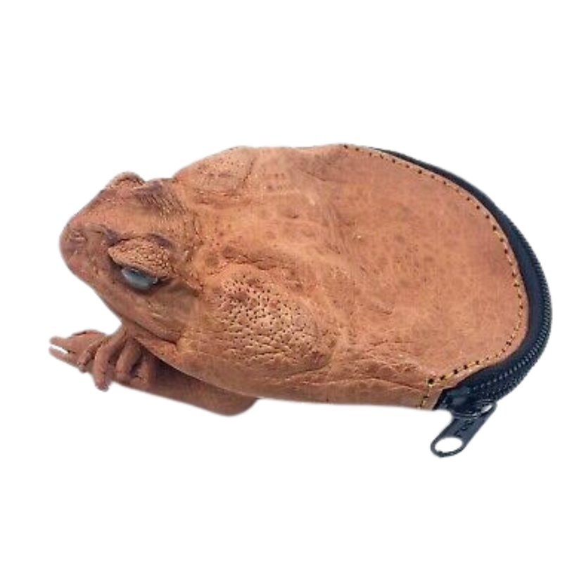 Toad Purse – FLORA & FAUNA